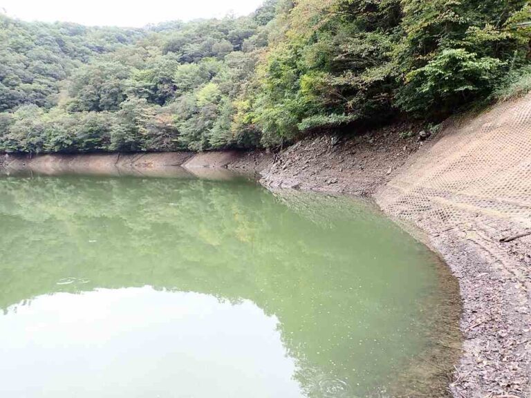 今週もバス釣り！なんとか小バス1匹 | TSURERO