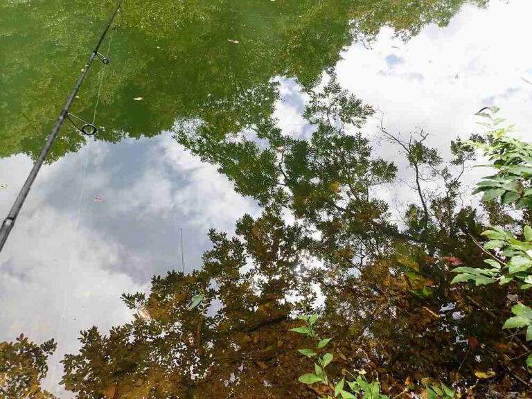 今週もバス釣り！なんとか小バス1匹 | TSURERO