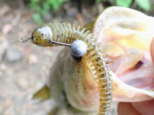 今週もバス釣り！なんとか小バス1匹 | TSURERO