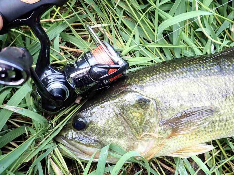 ダイワ「23タトゥーラ LT2500S-XH-QD」を軽くインプレ | TSURERO